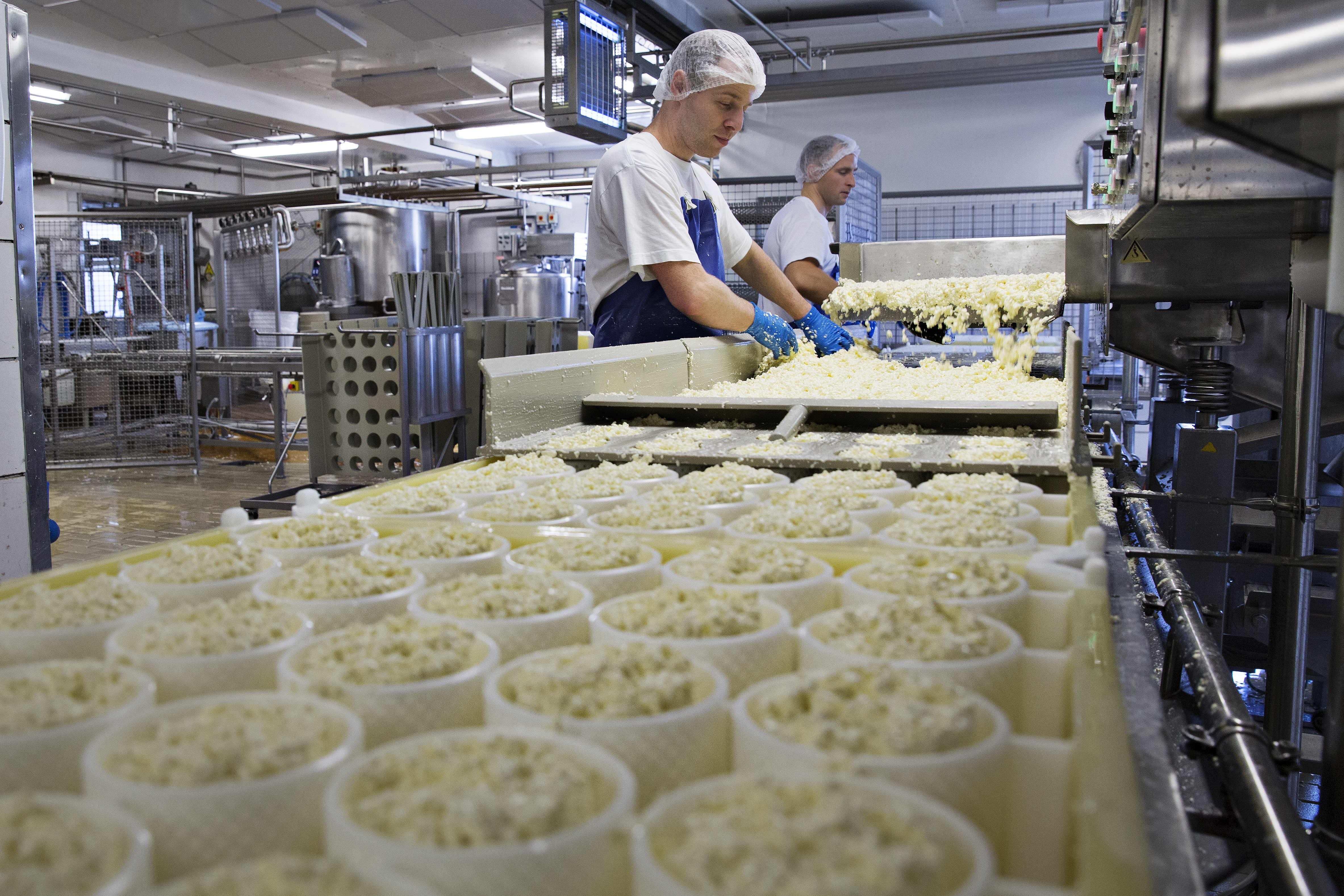 Indsigt i mejeristatistik - Læs om de 10 områder her | Mejeri