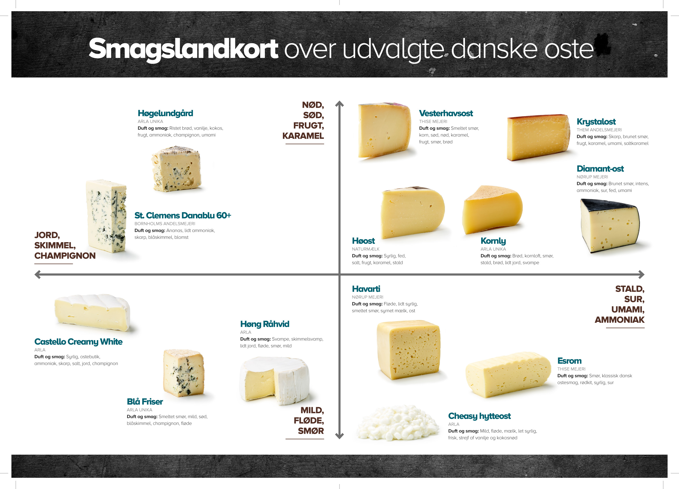 Osteguide - Få en guide til ostenes smagsunivers her | Mejeri